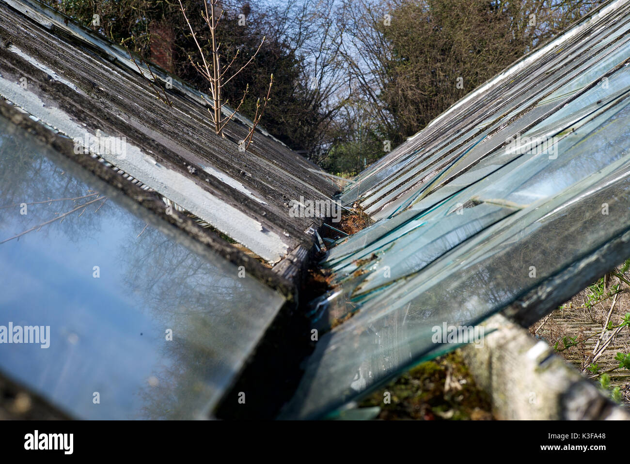 Rundown Kidby Nurseries, Little Clacton, Essex, in a state of decline ...