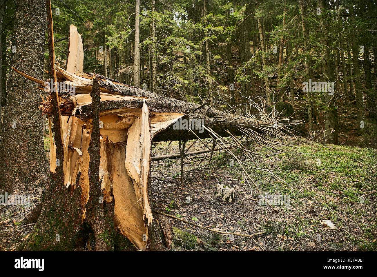 Glum hi-res stock photography and images - Alamy