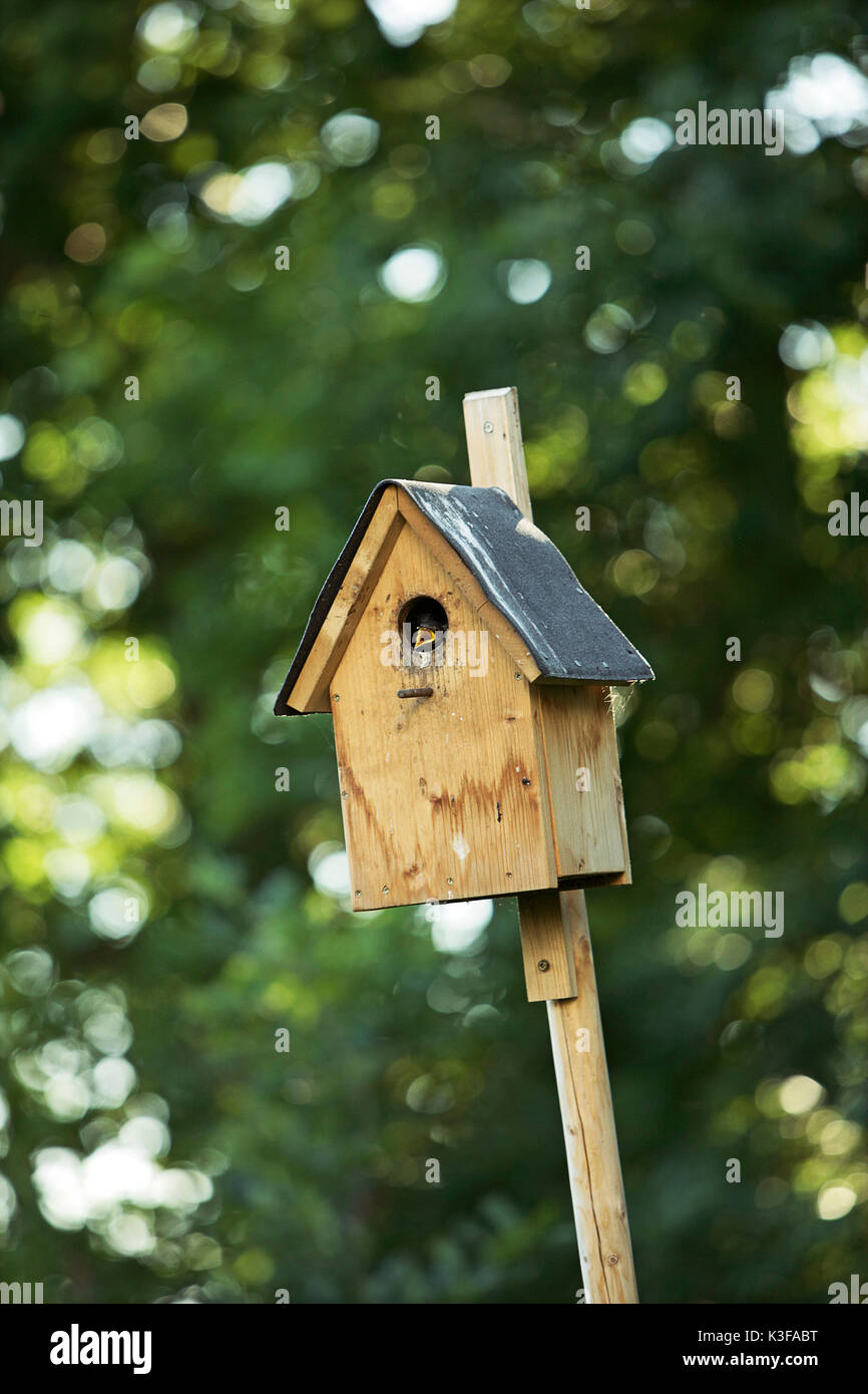 Aviary hi-res stock photography and images - Alamy