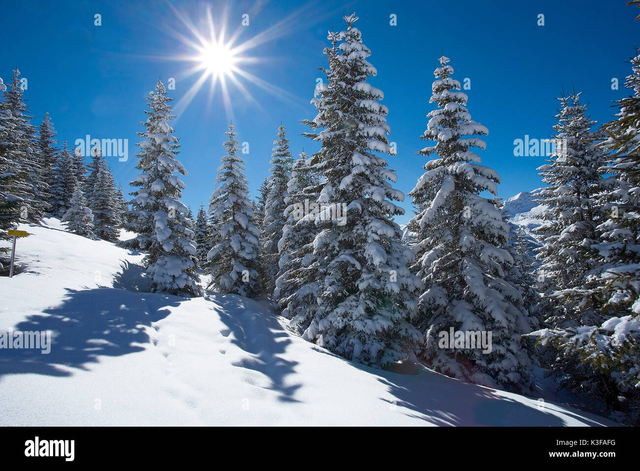 Berwang hi-res stock photography and images - Alamy