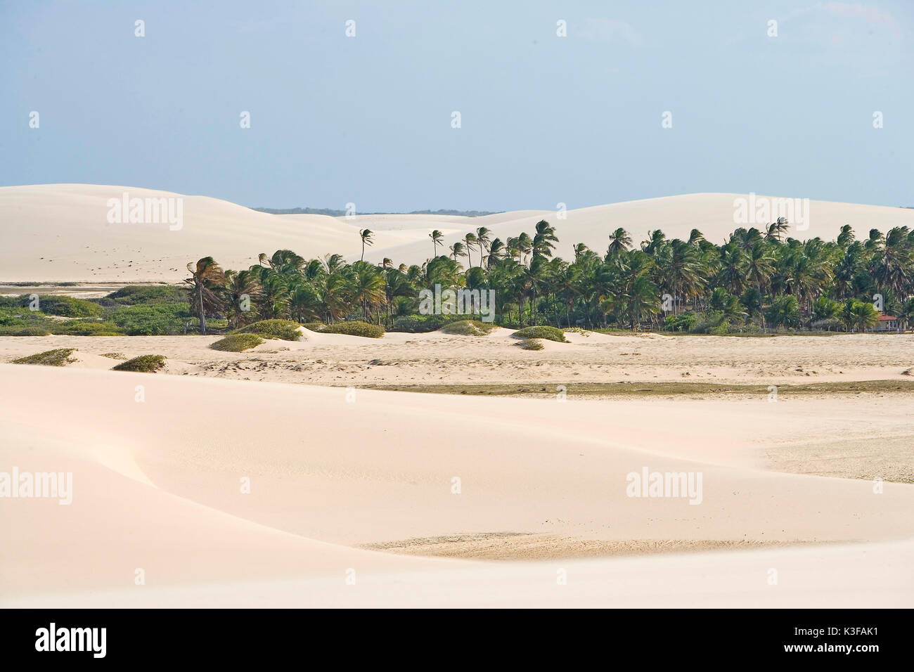Sand desert in north Brazil close Jericoacoara Stock Photo - Alamy