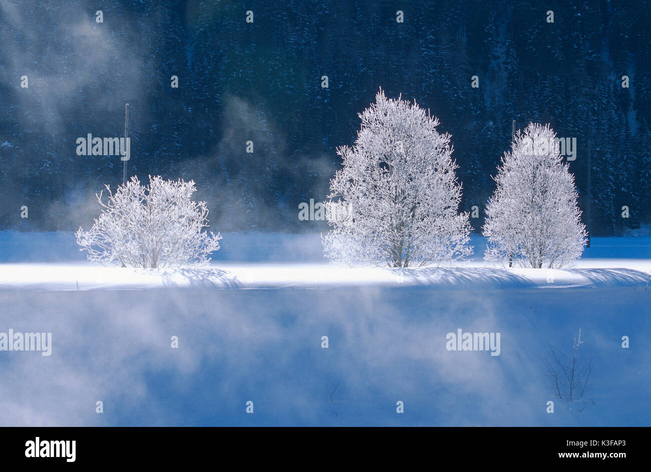 Winter sun hi-res stock photography and images - Alamy