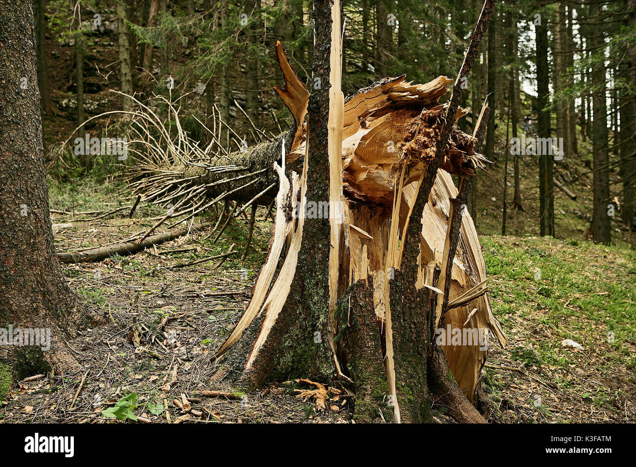 Glum hi-res stock photography and images - Alamy