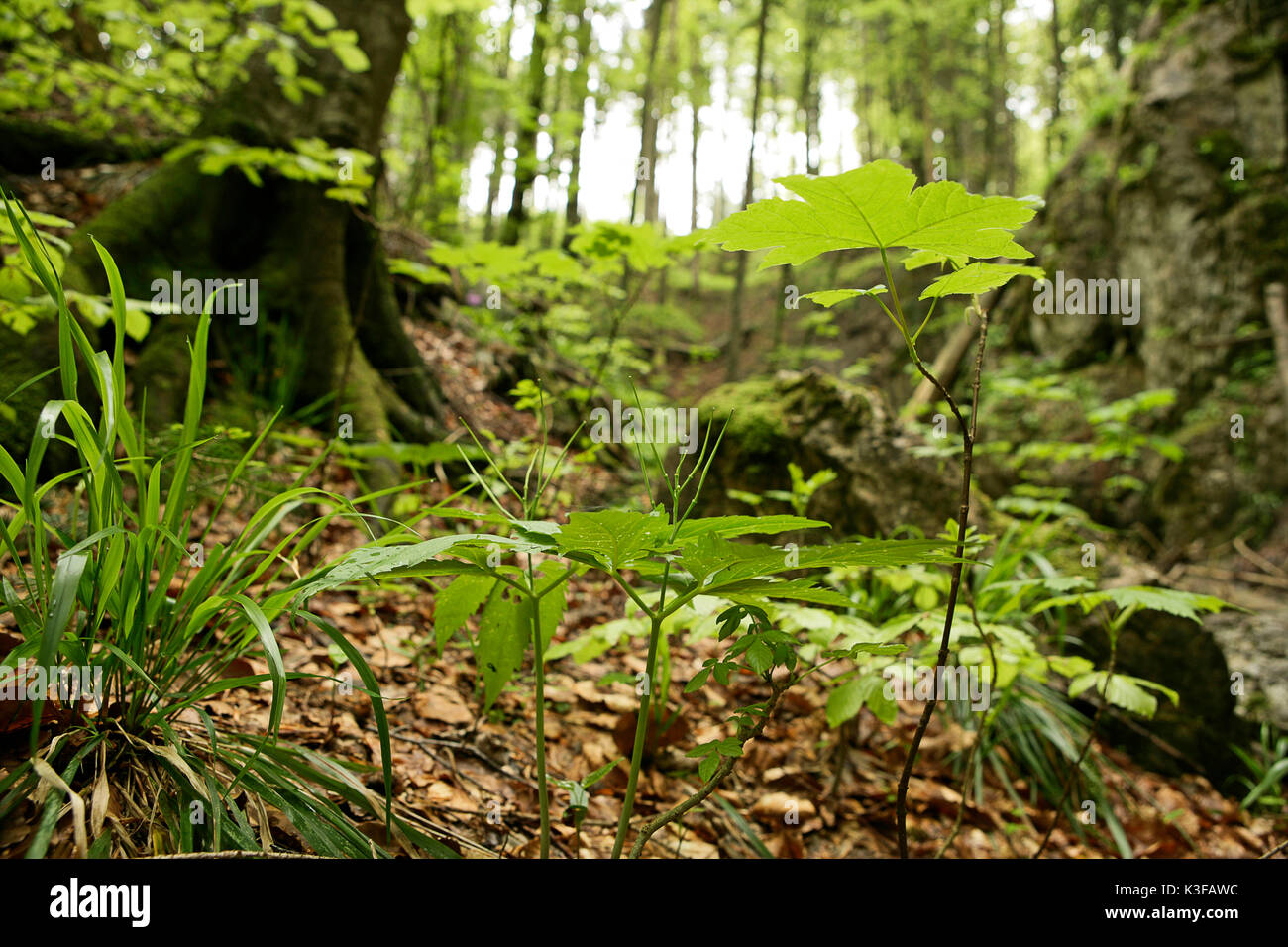 Below floor hi-res stock photography and images - Alamy