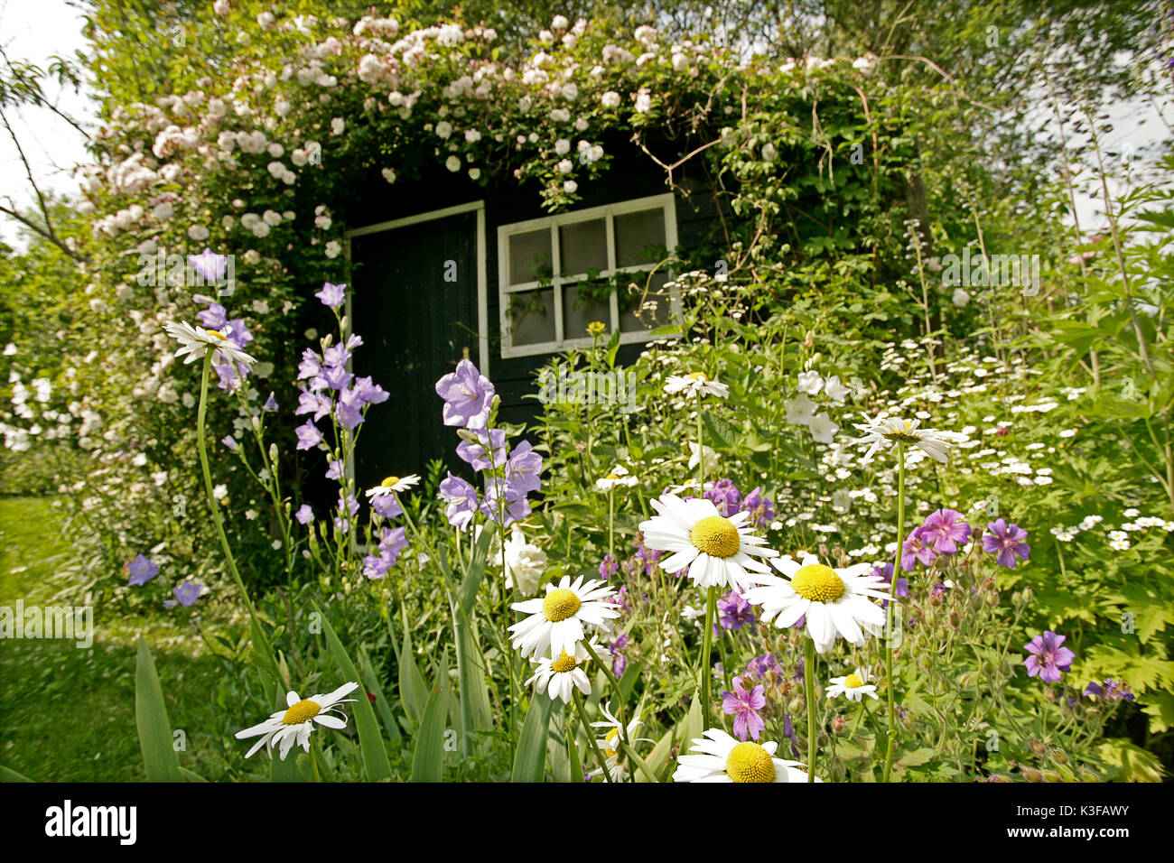 Ingrown hi-res stock photography and images - Alamy