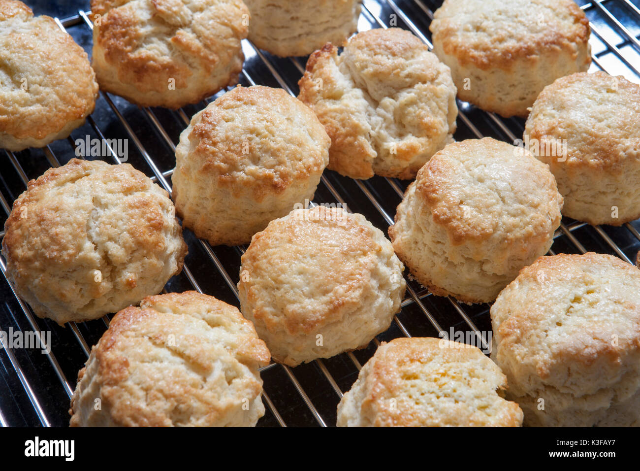Homemade Buttermilk Biscuits on Cooling Rack Stock Photo - Alamy