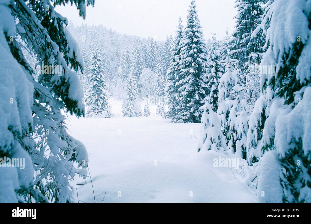 Overcast scenery hi-res stock photography and images - Alamy