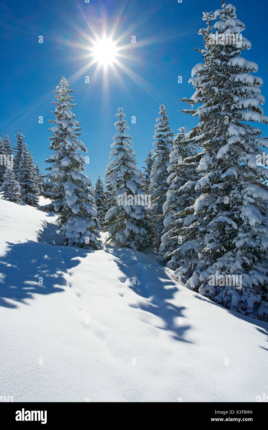 Berwang hi-res stock photography and images - Alamy