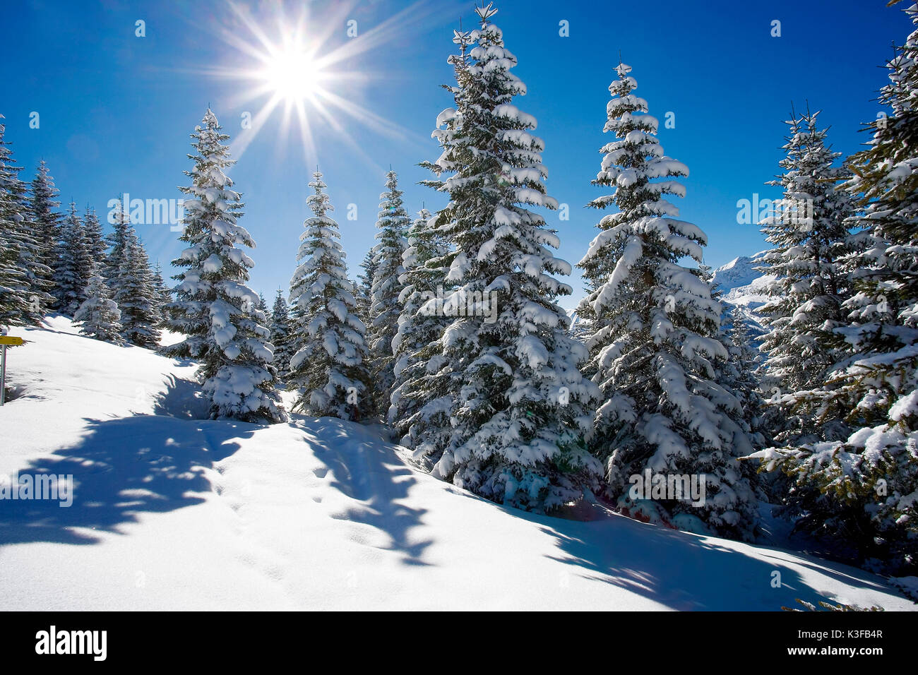 Winter scenery at the skiing area Berwang Stock Photo - Alamy