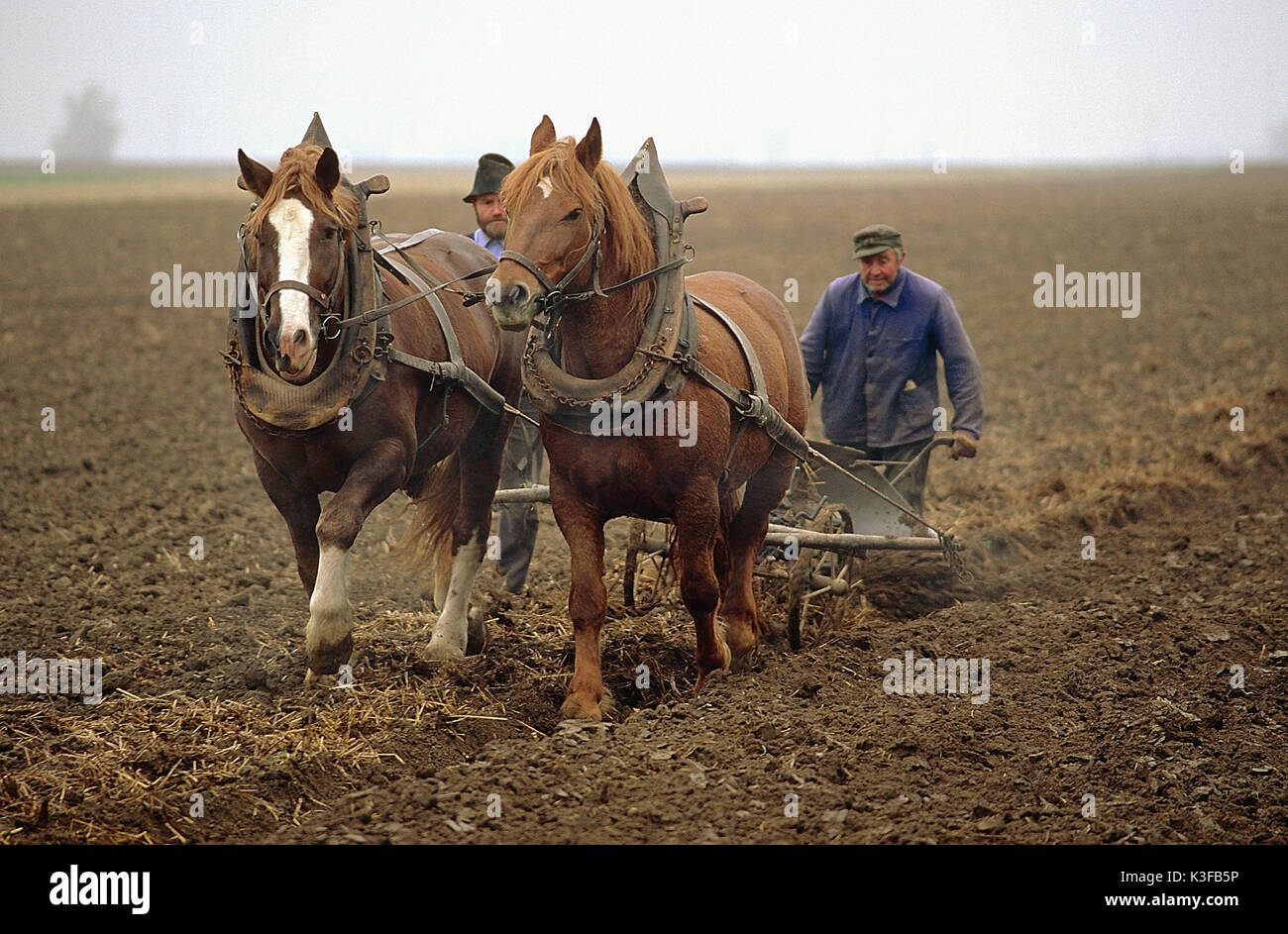 Farmer horse plough fields hi-res stock photography and images - Alamy