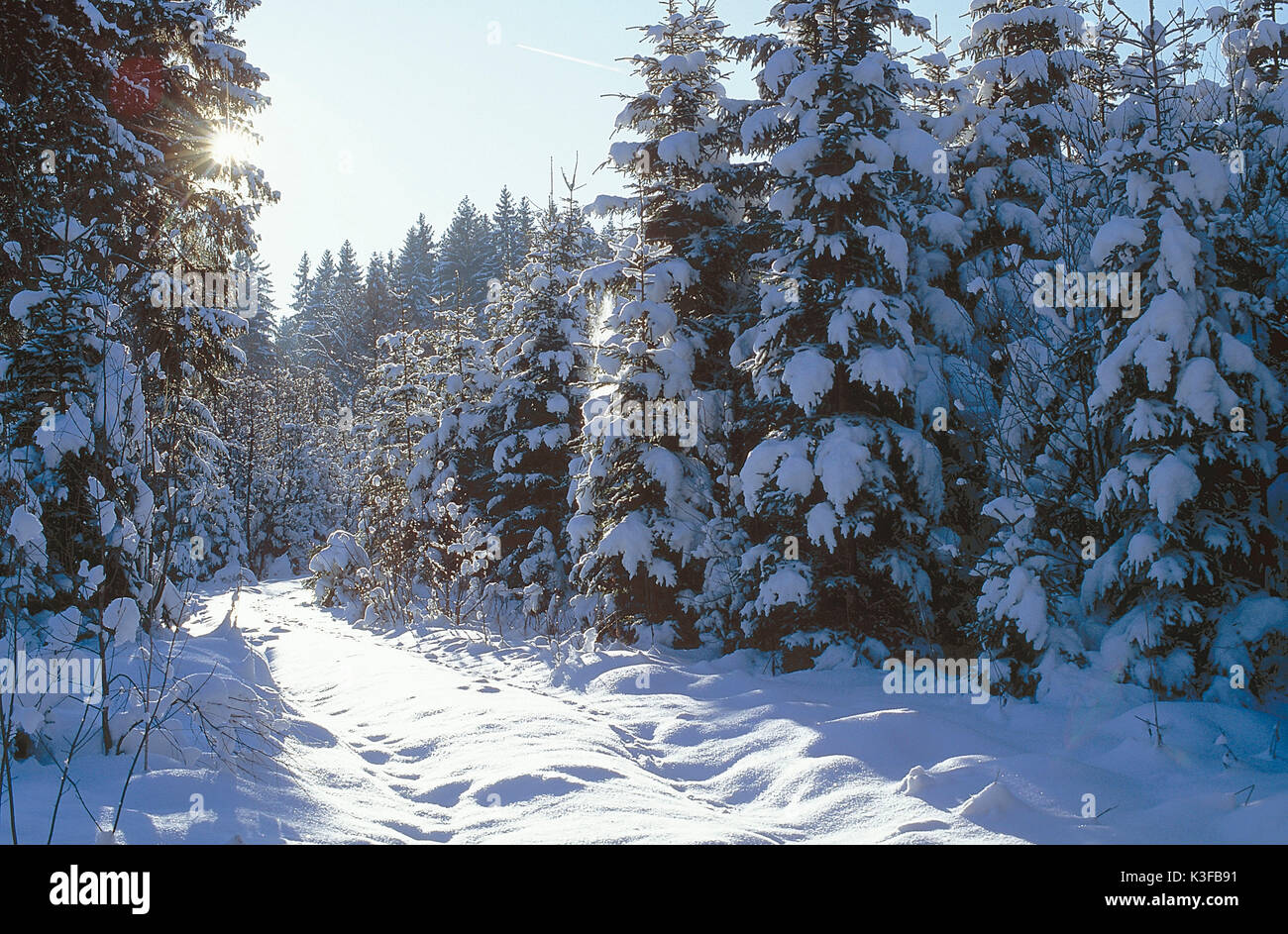 Overcast scenery hi-res stock photography and images - Alamy