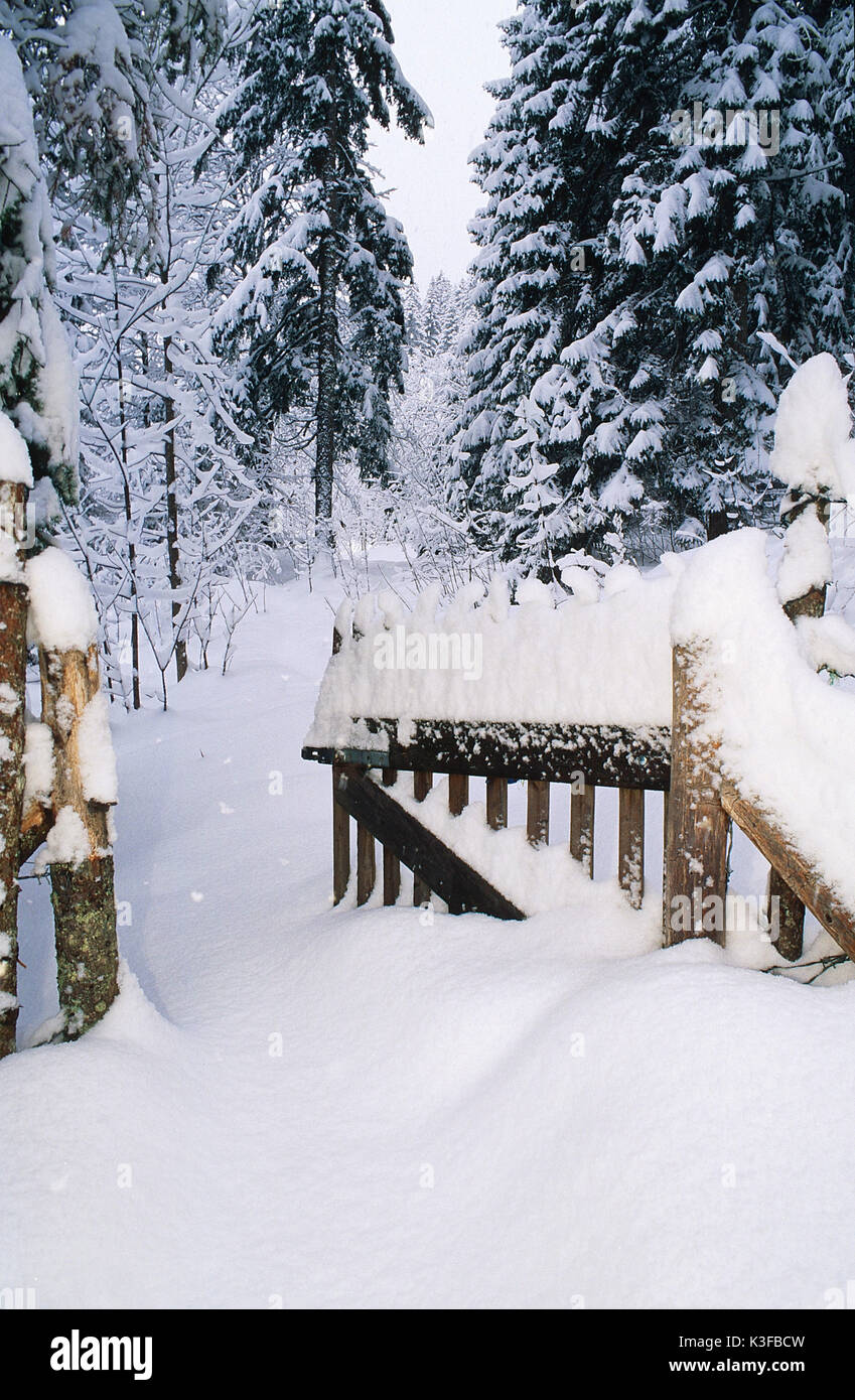 Covered Gate High Resolution Stock Photography and Images - Alamy