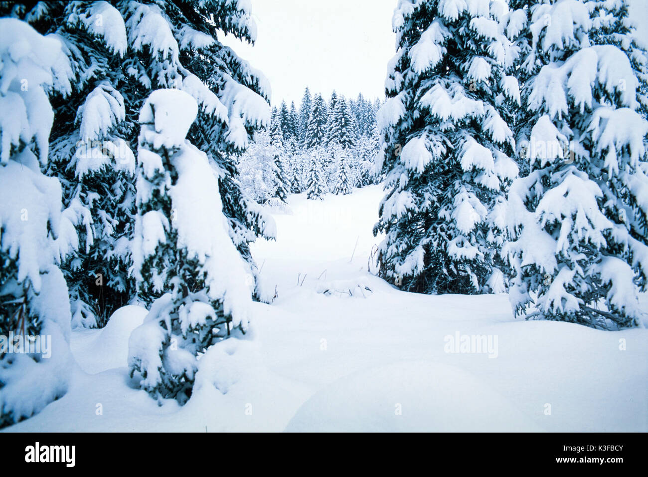 Winter scenery background hi-res stock photography and images - Alamy