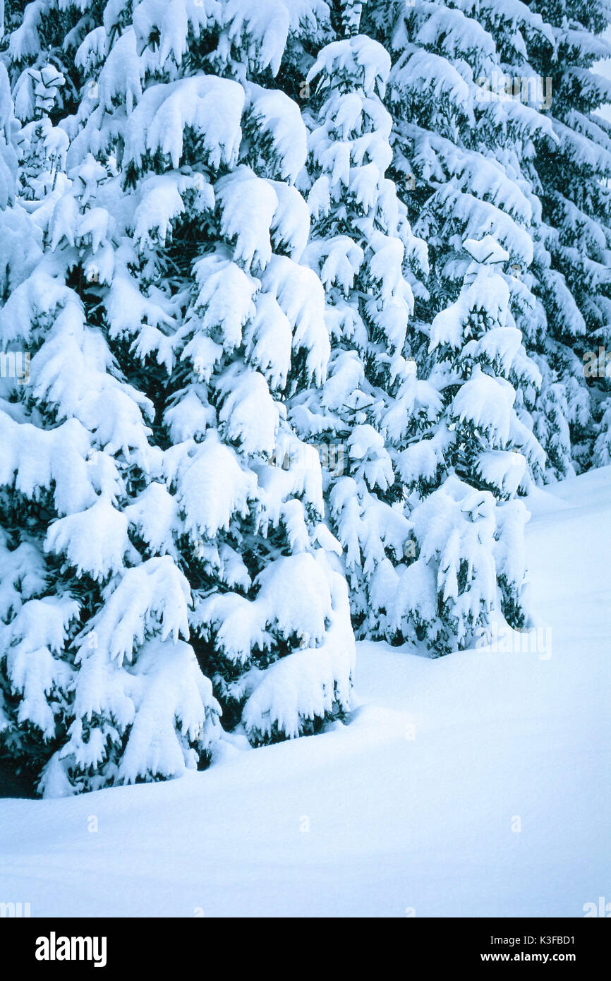 Overcast scenery hi-res stock photography and images - Alamy