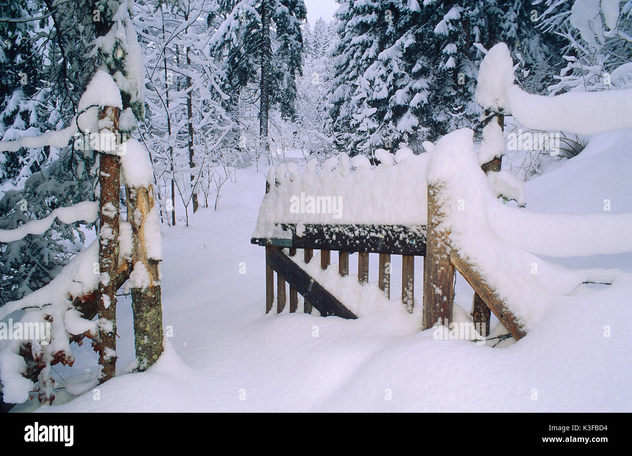 Covered gate hi-res stock photography and images - Alamy