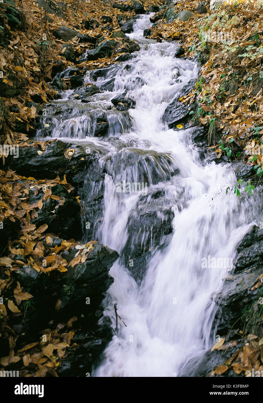 Mountain brook in wild hi-res stock photography and images - Alamy