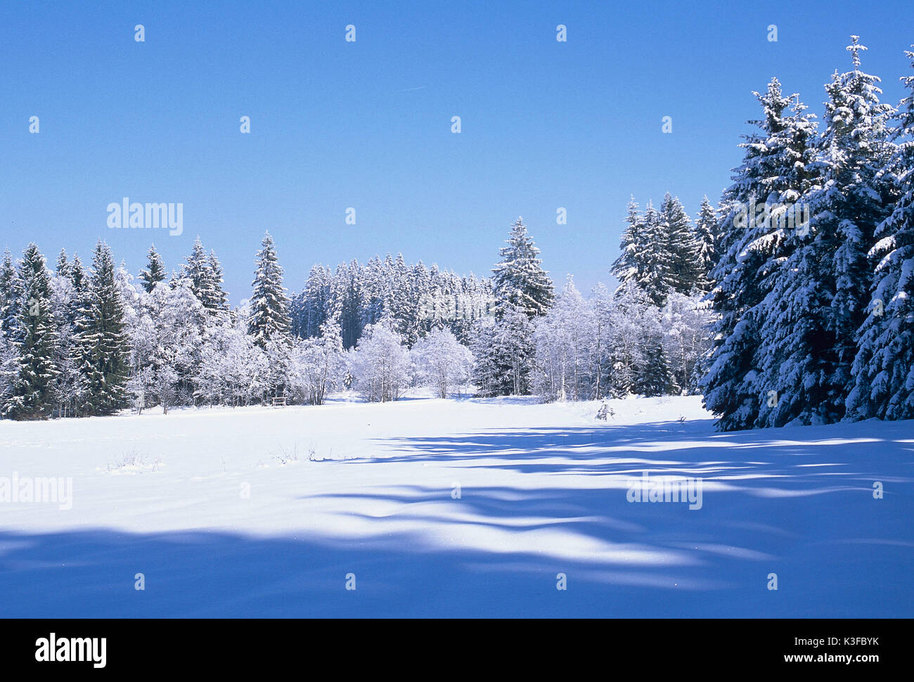 Overcast heaven hi-res stock photography and images - Alamy