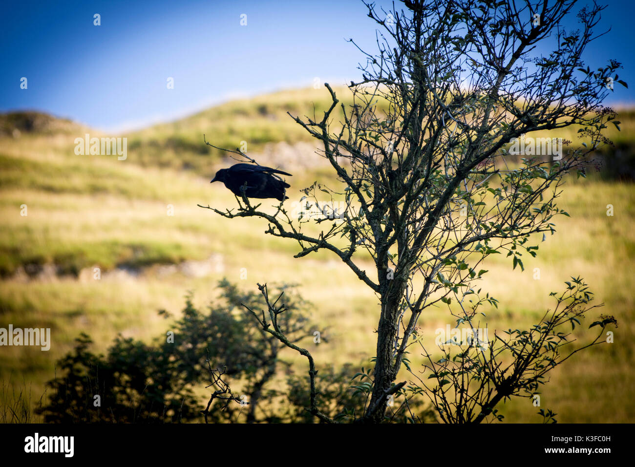 Spookey hi-res stock photography and images - Alamy