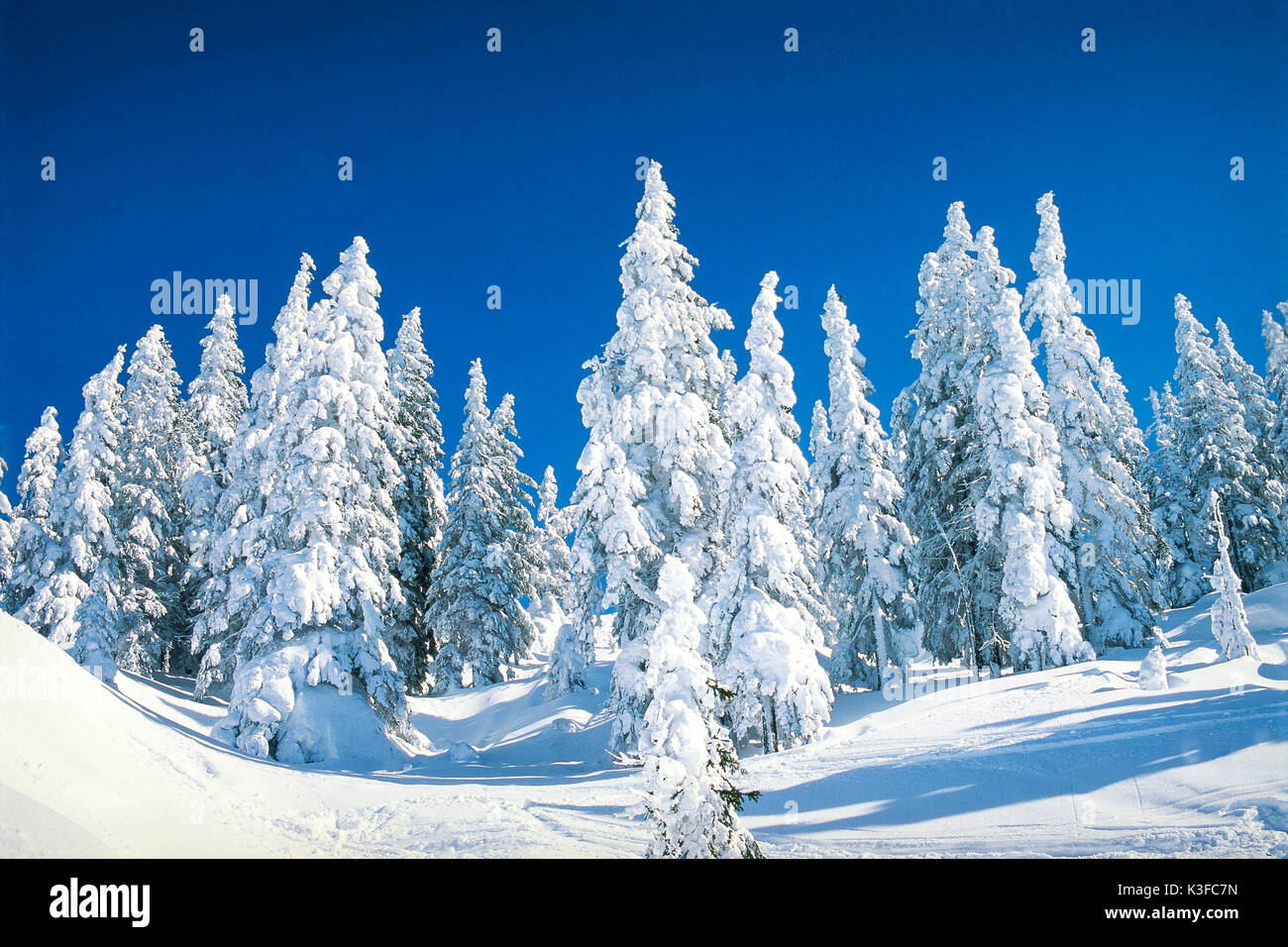 Christmas scenery hi-res stock photography and images - Alamy