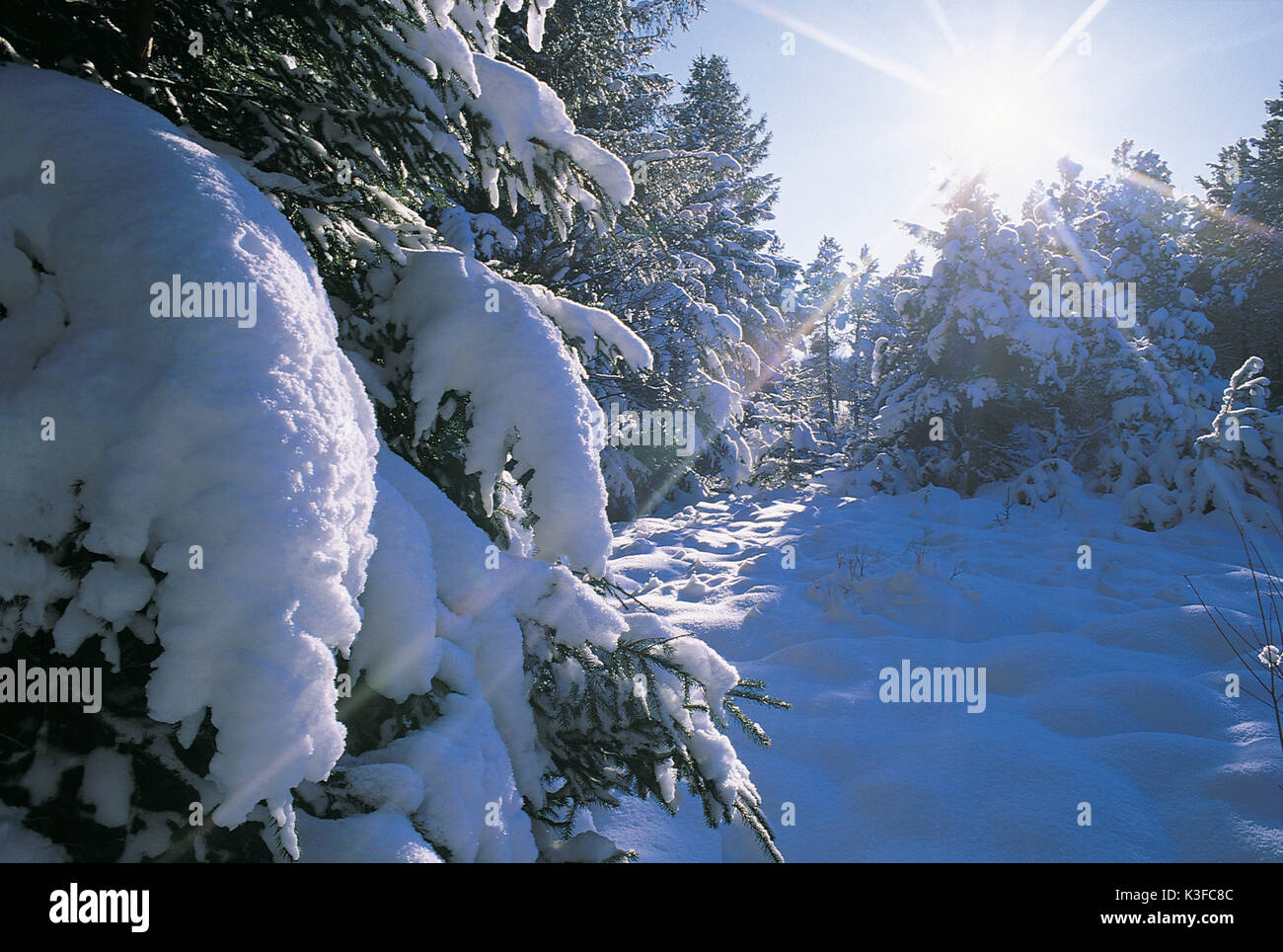 Sunny to overcast hi-res stock photography and images - Alamy