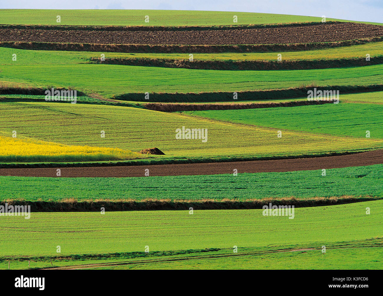 Fields and spring scenery hi-res stock photography and images - Alamy