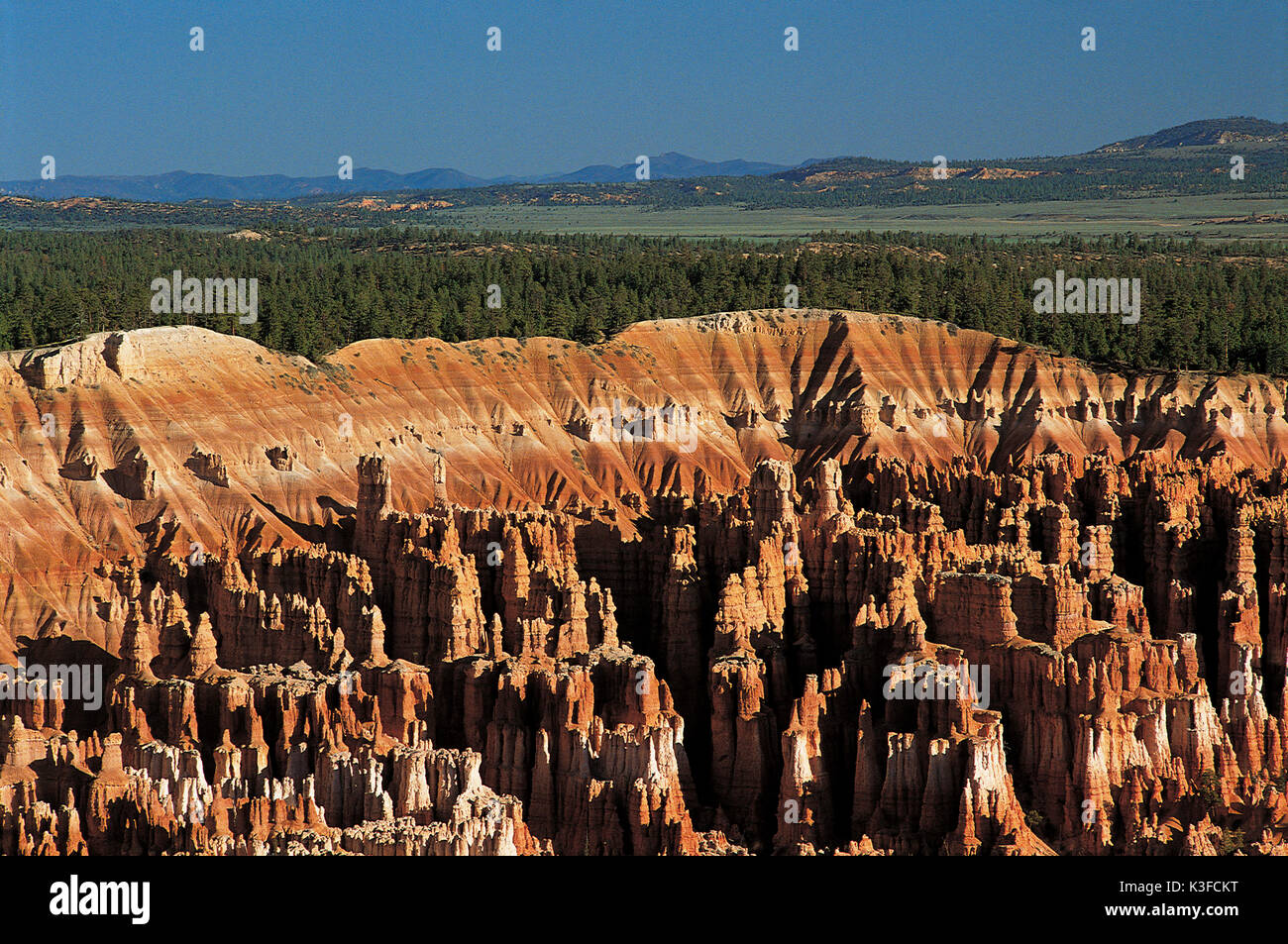 Utah Birds Stock Photos & Utah Birds Stock Images - Alamy