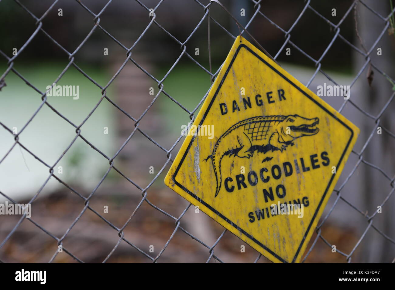 Flooded dinosaur hi-res stock photography and images - Alamy