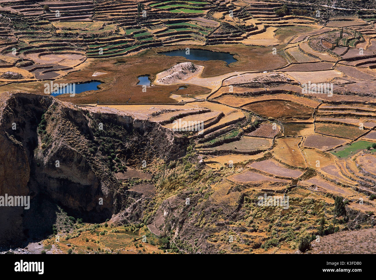 Terrace fields at the Colca Canon, Peru Stock Photo - Alamy