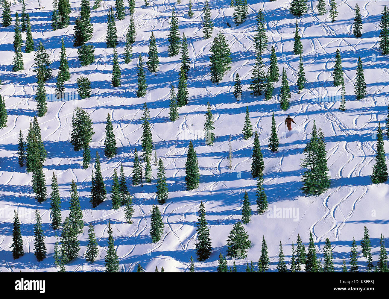 Aspen colorado winter snow trees hi-res stock photography and images ...