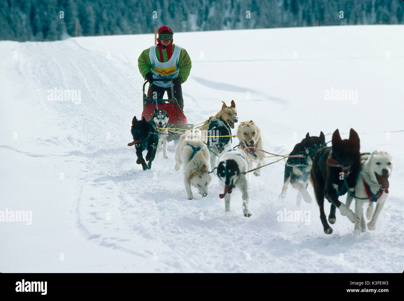 Slide dogs motorcycle combination hi-res stock photography and images ...