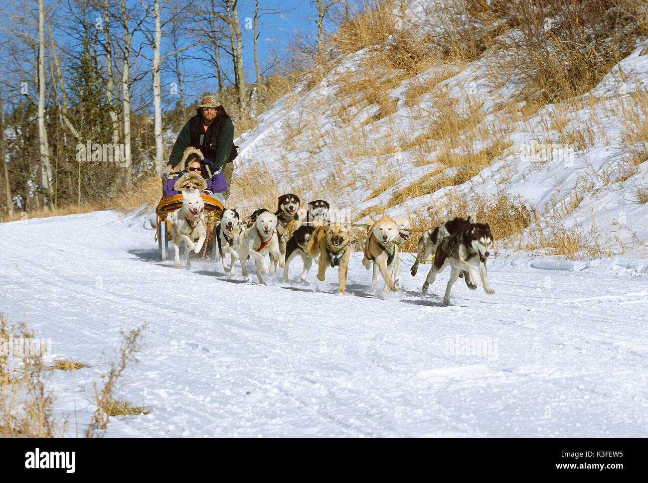 Husky slide hi-res stock photography and images - Alamy