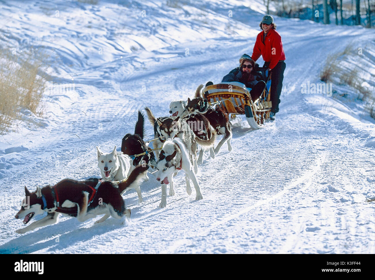 Husky slide hi-res stock photography and images - Alamy