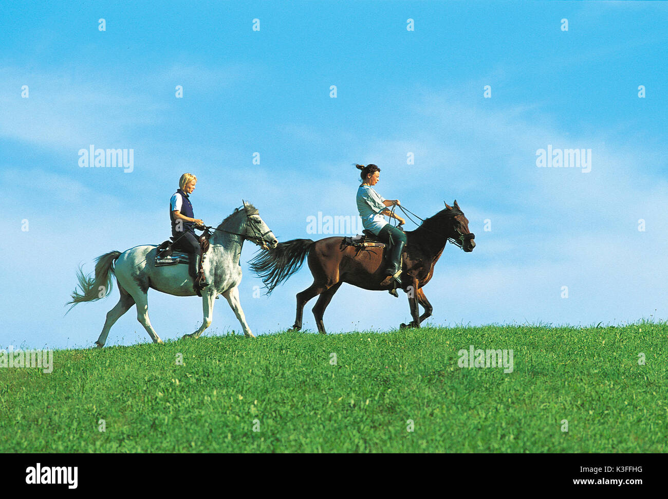 Ride on galloping horses Stock Photo - Alamy