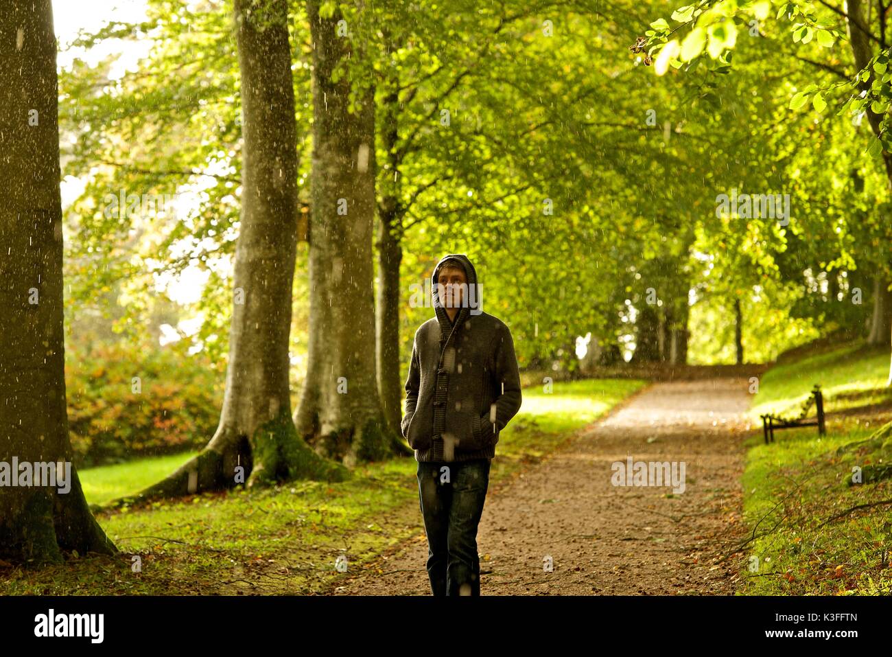 Killerton House, Devon Stock Photo - Alamy