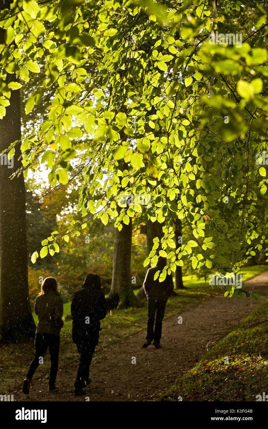 Killerton House, Devon Stock Photo - Alamy