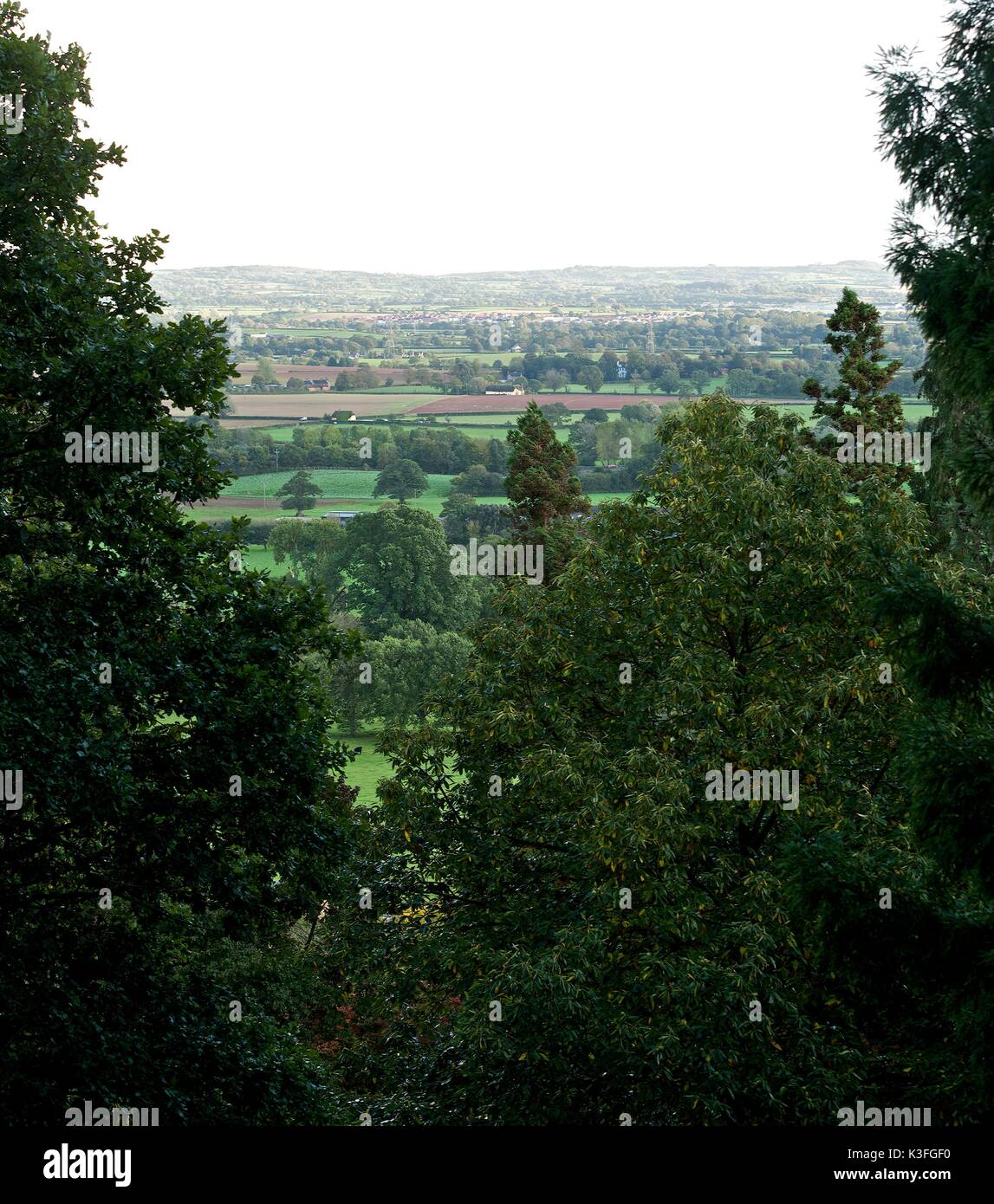 Killerton House Estate High Resolution Stock Photography and Images - Alamy
