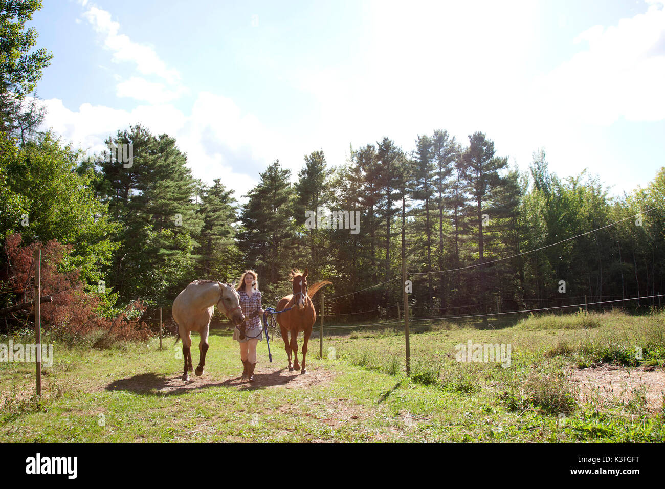 Equestrian Rider Walking High Resolution Stock Photography and Images ...