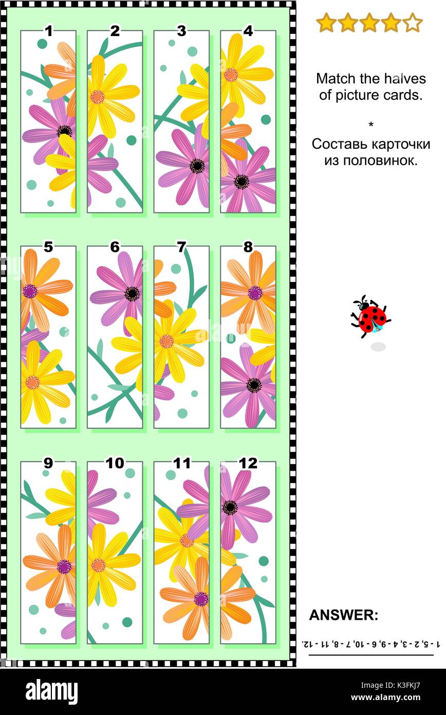 Visual puzzle with gerbera daisy flowers: Match the halves of picture ...