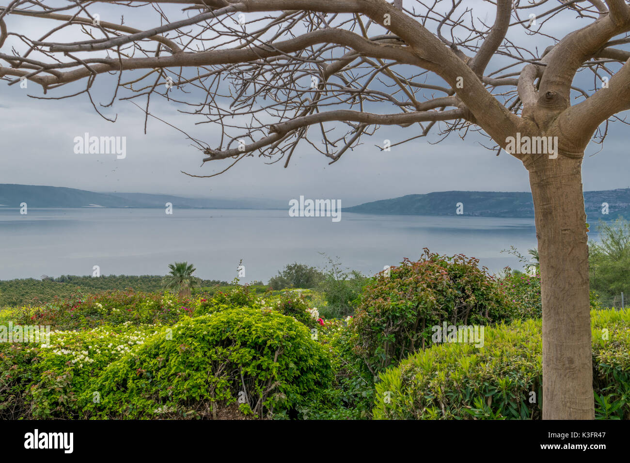 View at the lake of Galilee Stock Photo - Alamy