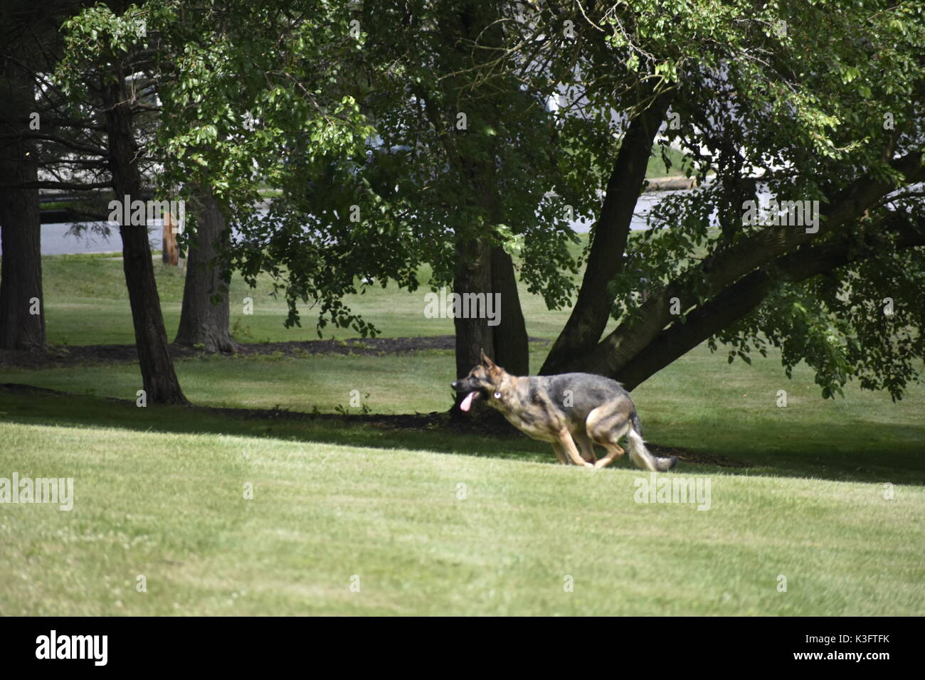 Through the yard hi-res stock photography and images - Alamy
