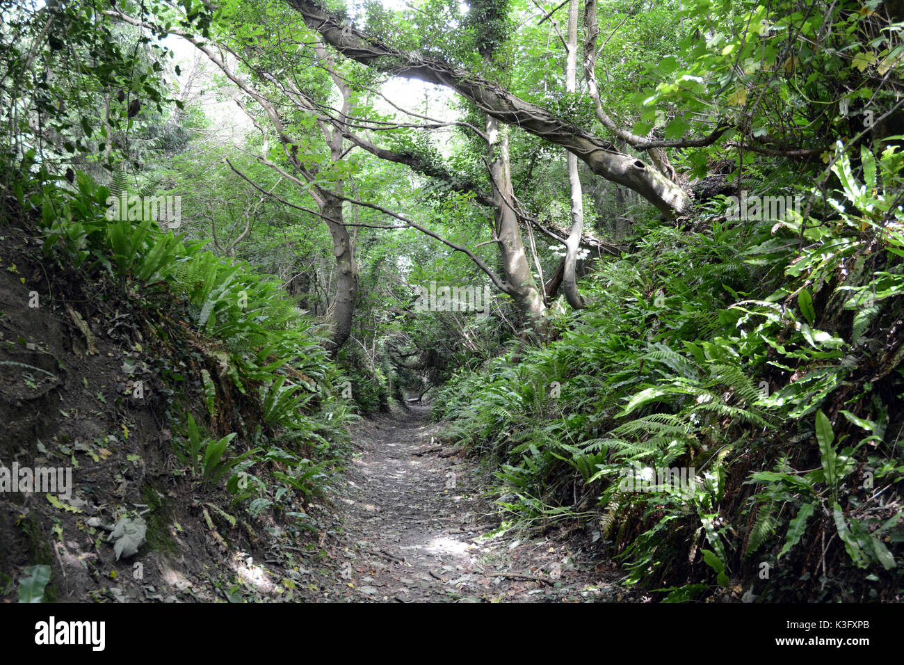 Holloway path uk hi-res stock photography and images - Alamy