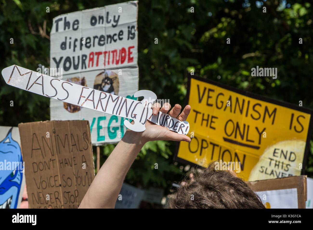 Animal Rights Movement Stock Photos & Animal Rights Movement Stock ...