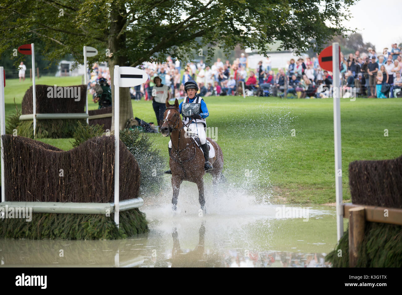 Star witness hi-res stock photography and images - Alamy