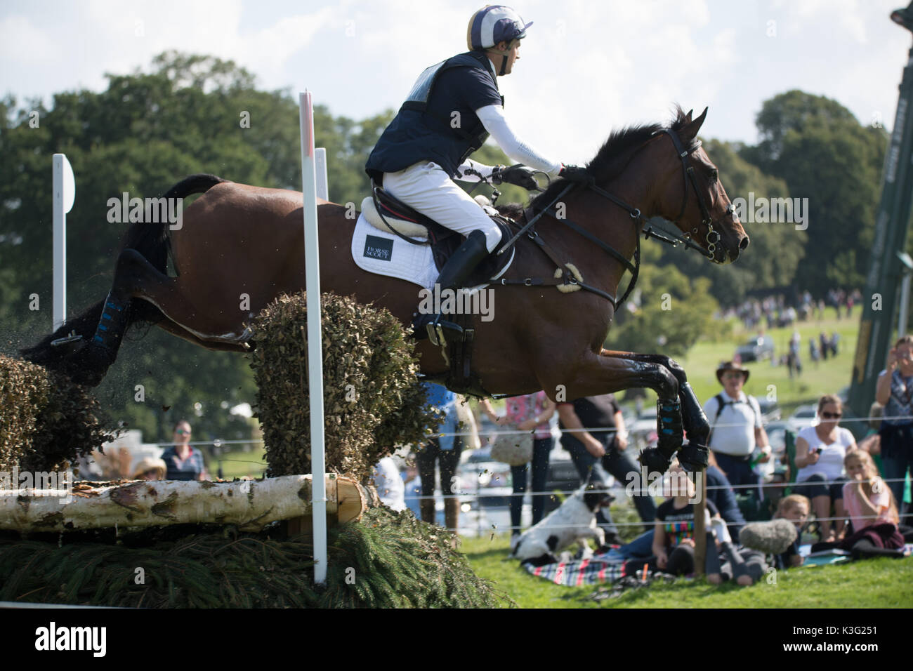 Horse Leech High Resolution Stock Photography and Images - Alamy