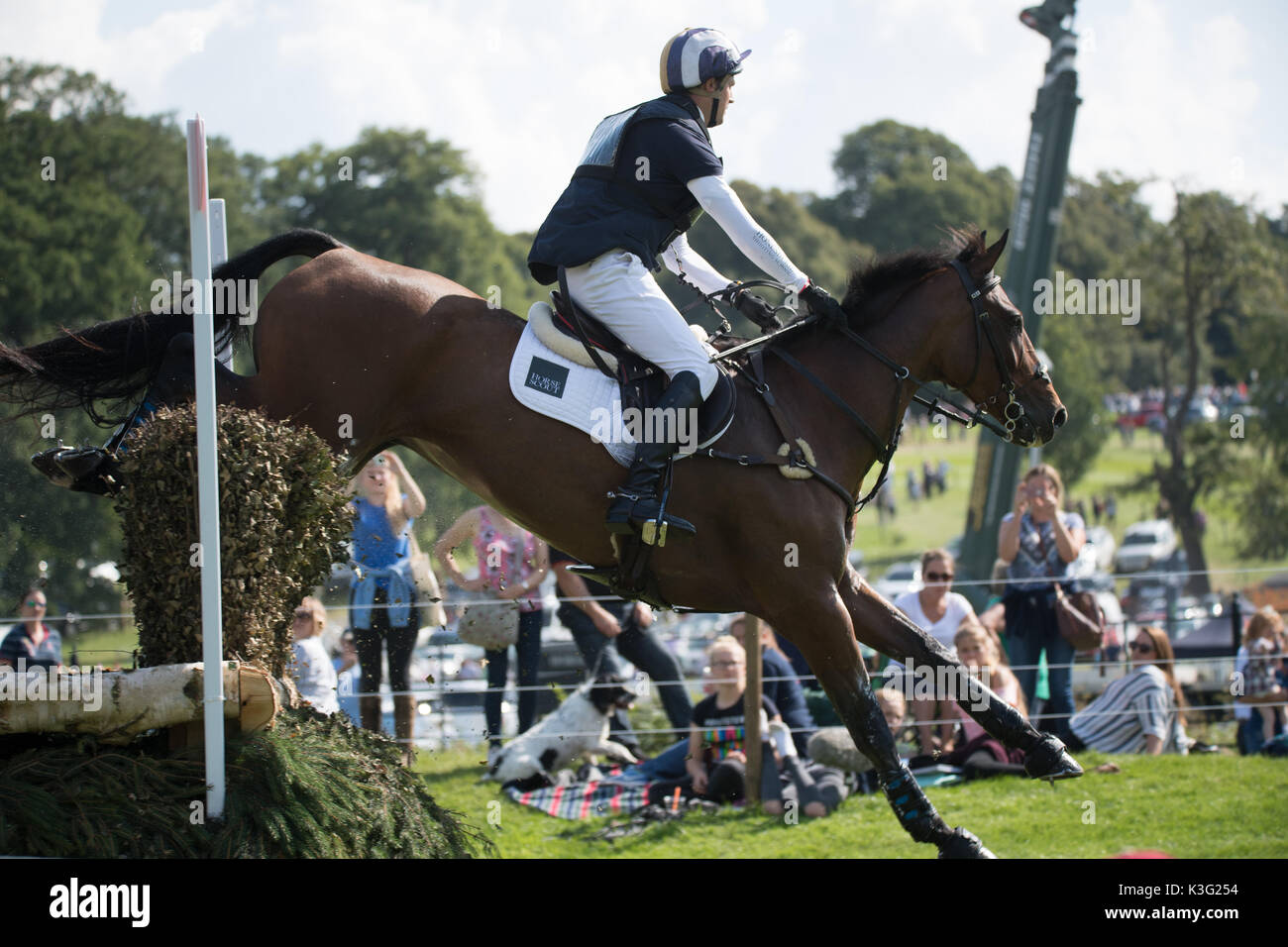 Horse Leech High Resolution Stock Photography and Images - Alamy