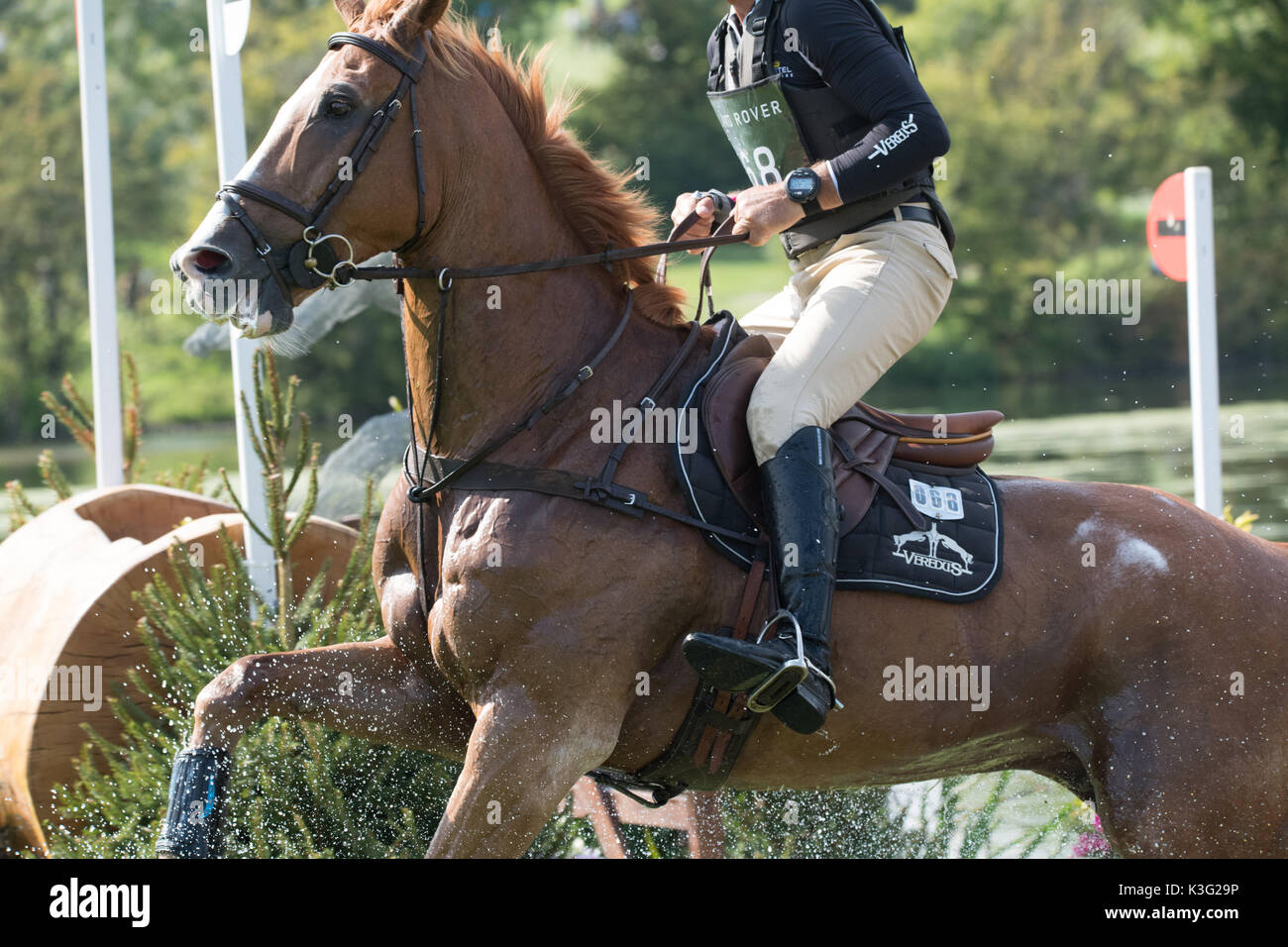 Stamford, Lincs, UK. 02nd Sep, 2017. Andrew Nicholson riding Nereo at ...