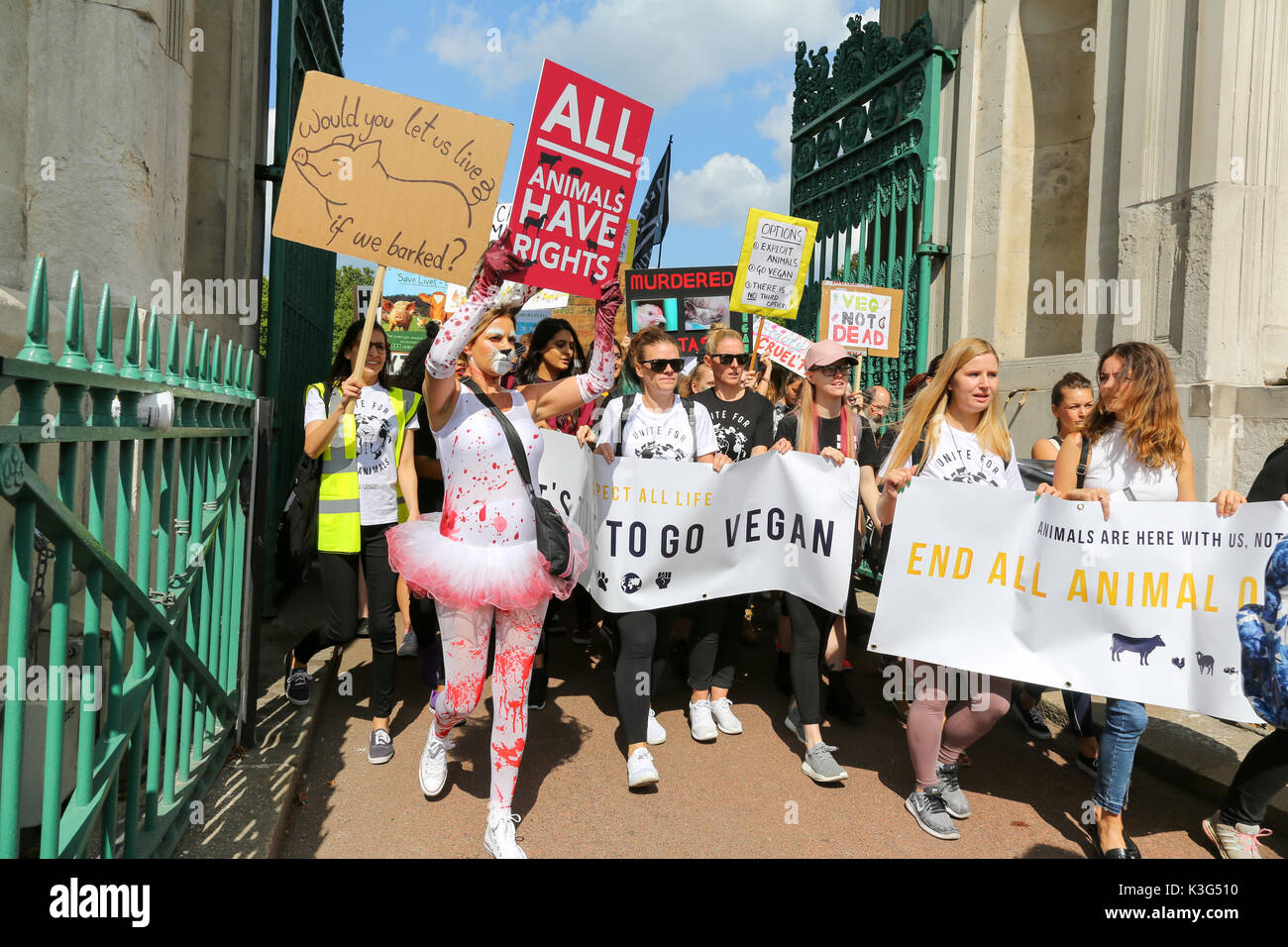 Vegan protest hi-res stock photography and images - Alamy