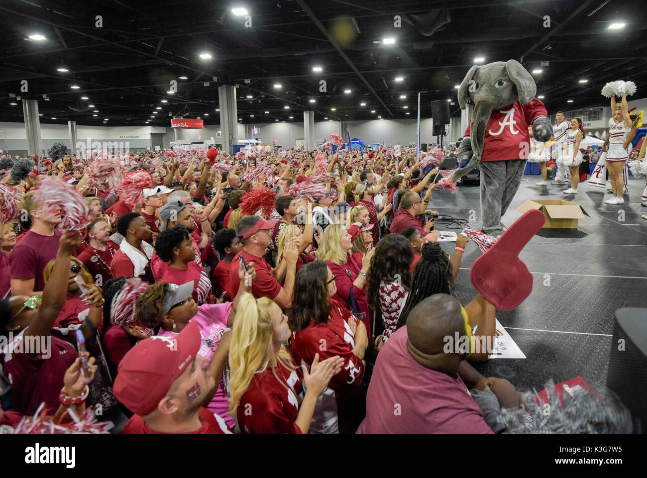 Alabama crimson tide mascot hi-res stock photography and images - Alamy