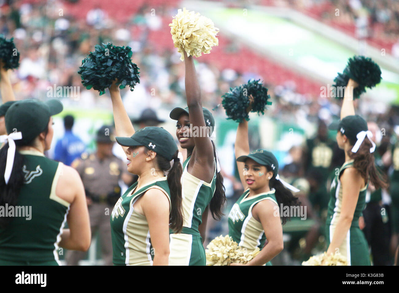 Usf bulls cheerleaders hi-res stock photography and images - Alamy