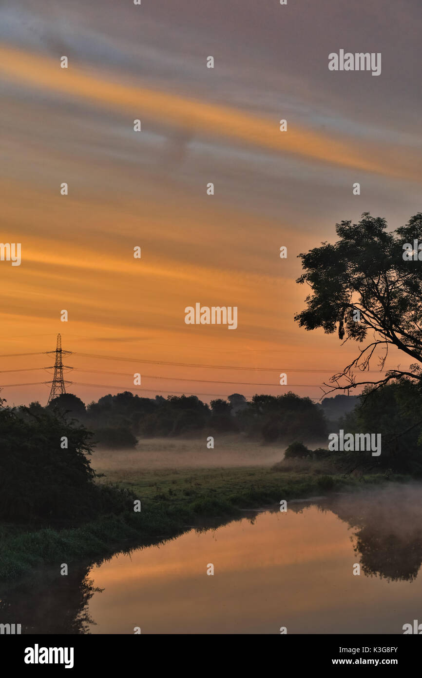 Swans river nene peterborough hi-res stock photography and images - Alamy
